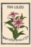 Two Lilies by Matsui - High Quality Prints on Paper or Canvas from ...